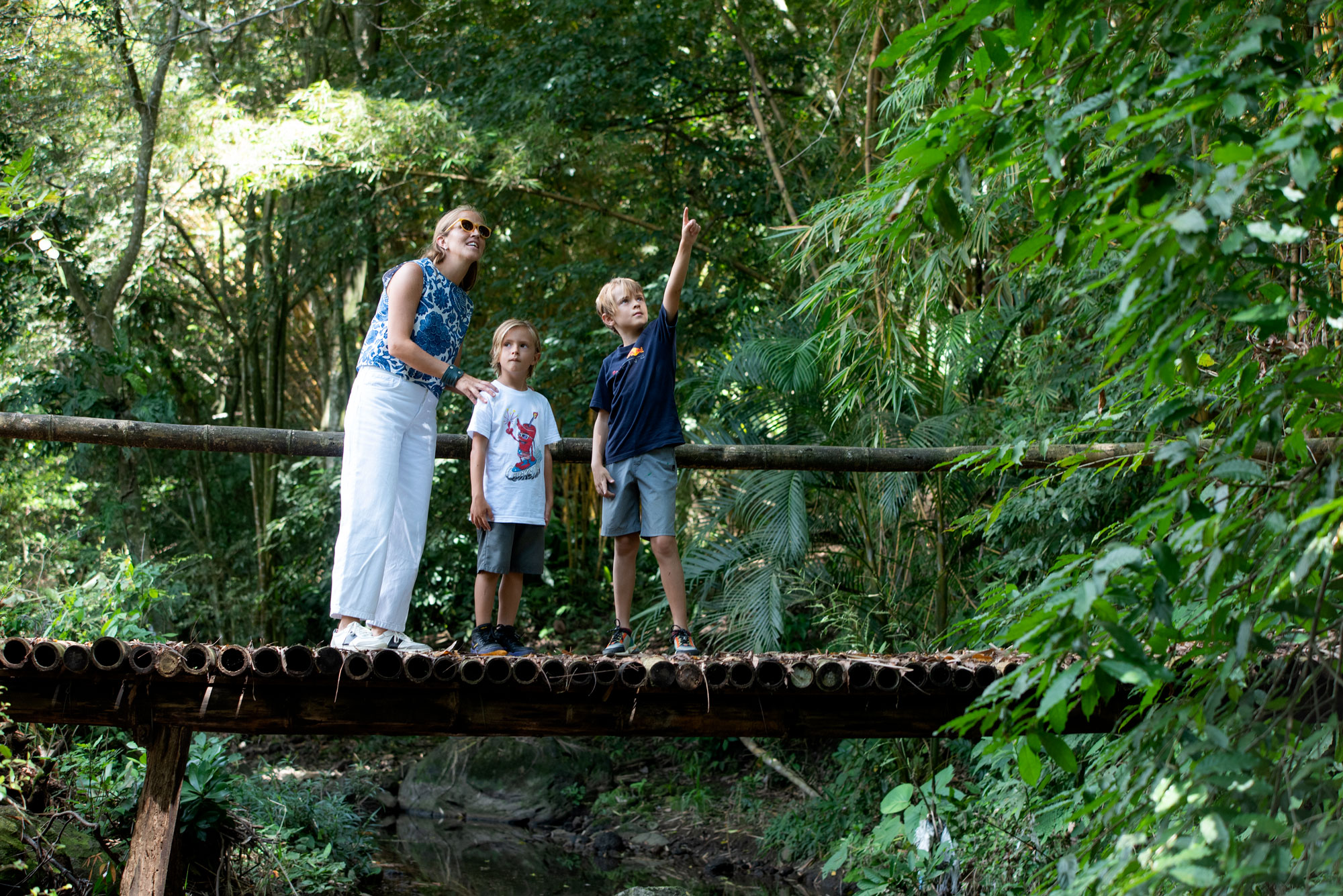 Luxury Gated Community in San José – Lots & Custom Homes Green City